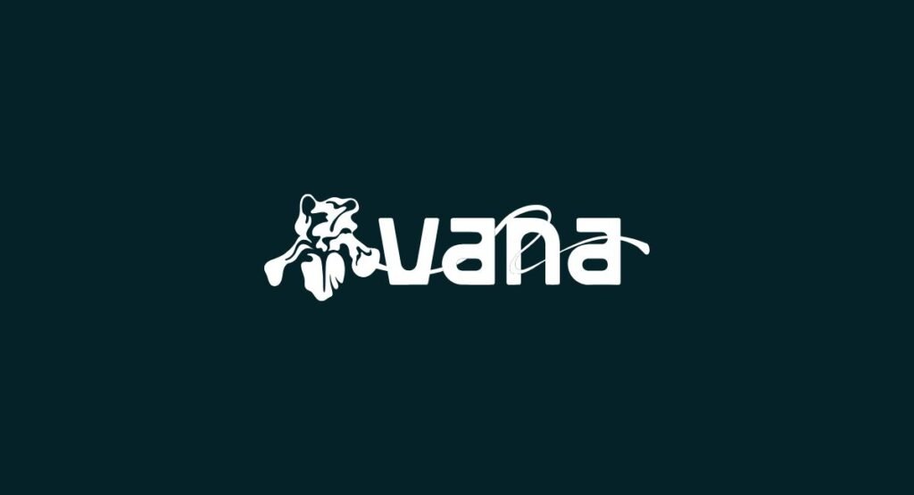 Vana Coin Price Prediction 2025, 2030, 2040
